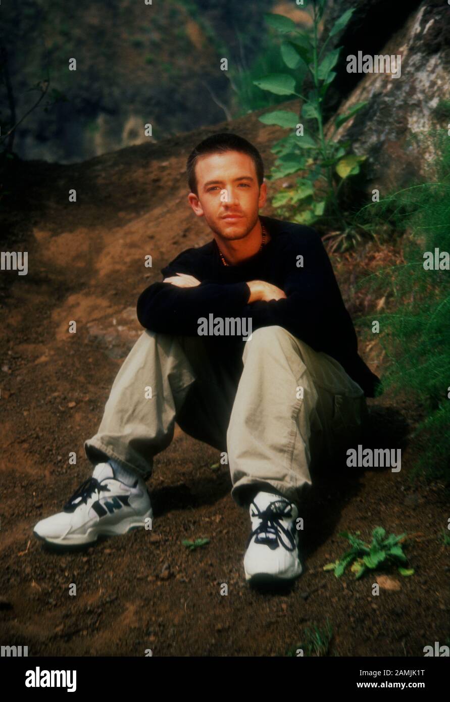 Los Angeles, California, USA 19th May 1995 (Exclusive) Actor David ...
