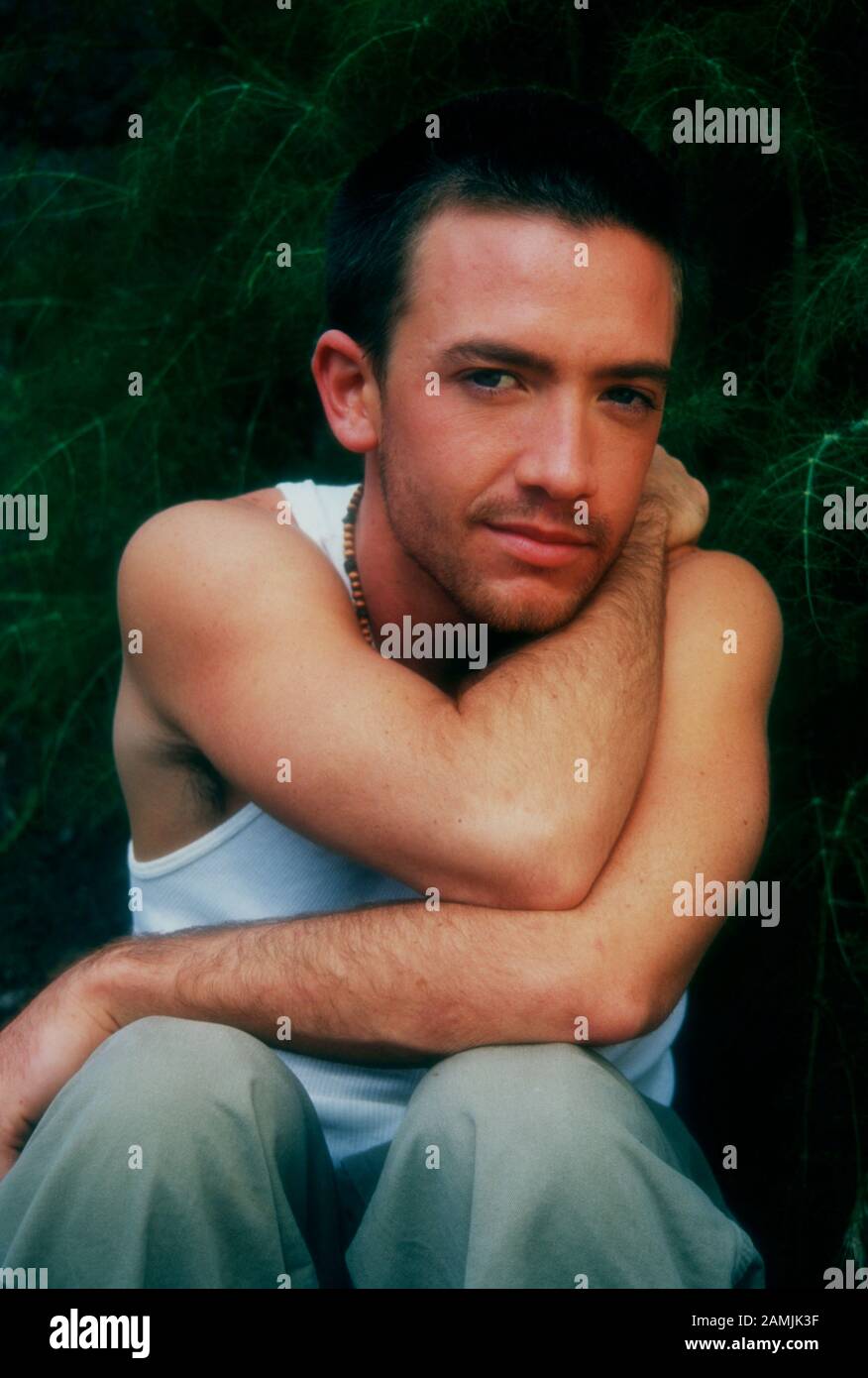 Los Angeles California Usa 19th May 1995 Exclusive Actor David