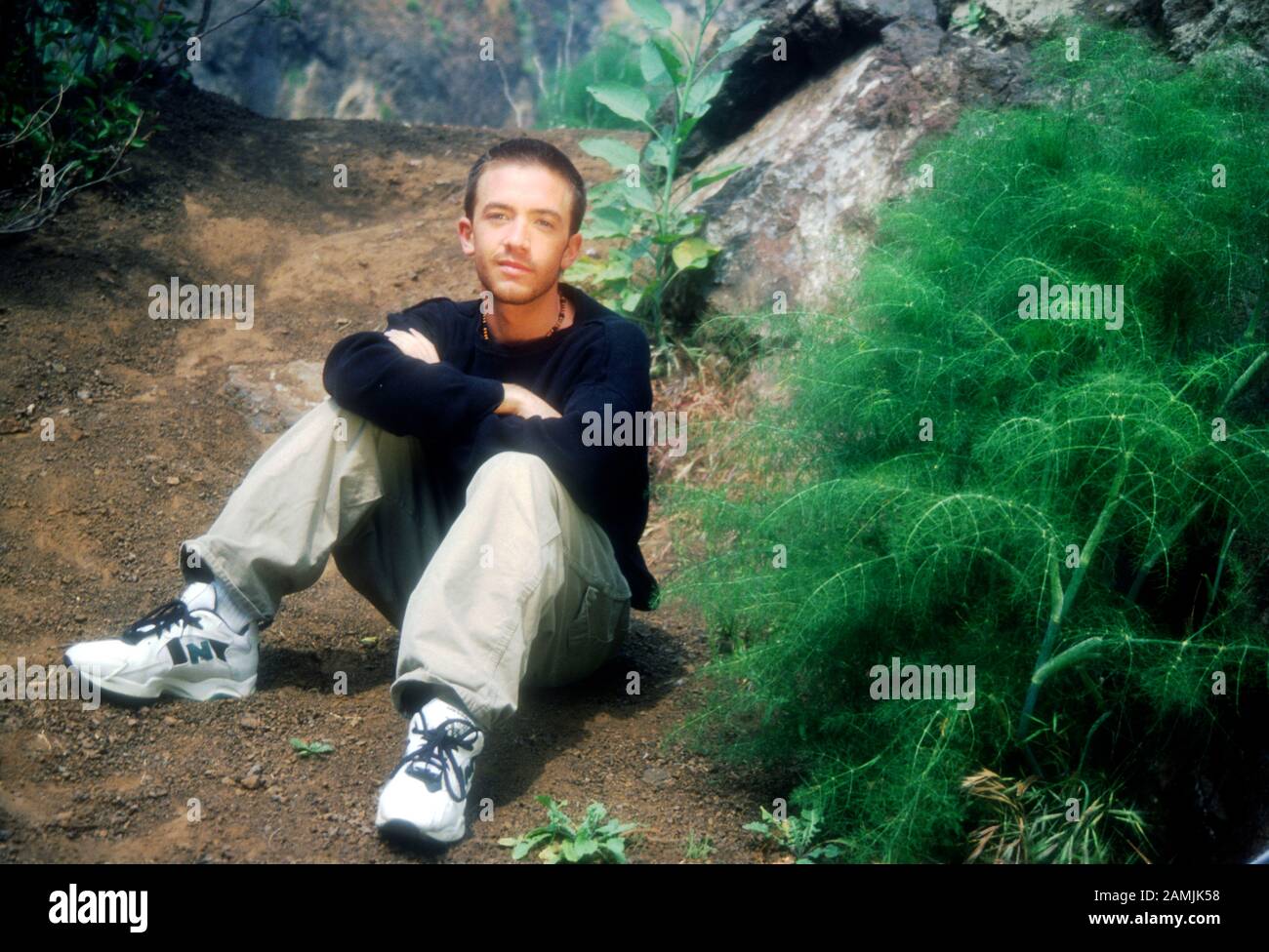 Los Angeles, California, USA 19th May 1995 (Exclusive) Actor David ...