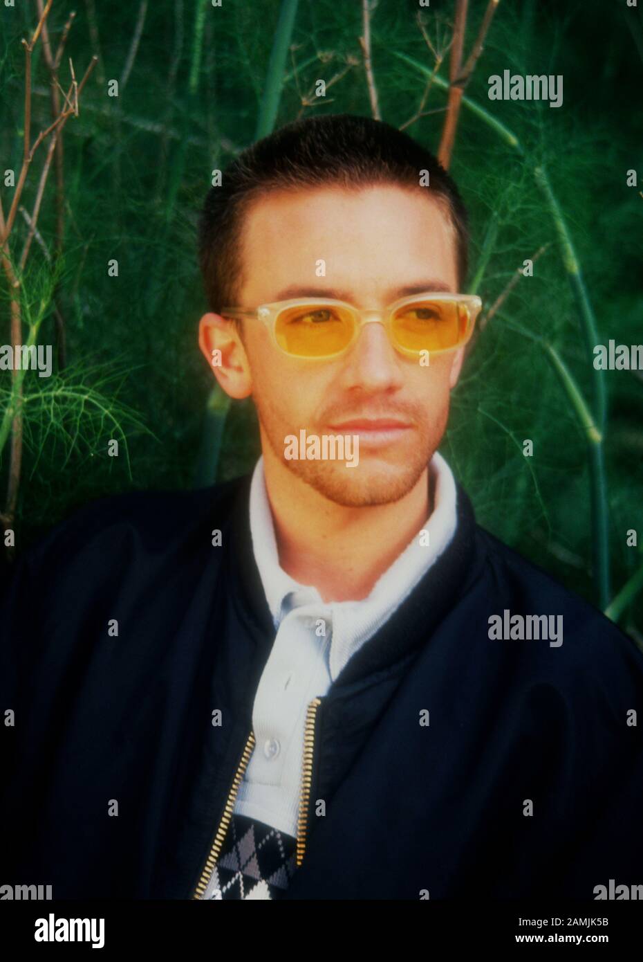 Los Angeles, California, USA 19th May 1995 (Exclusive) Actor David ...
