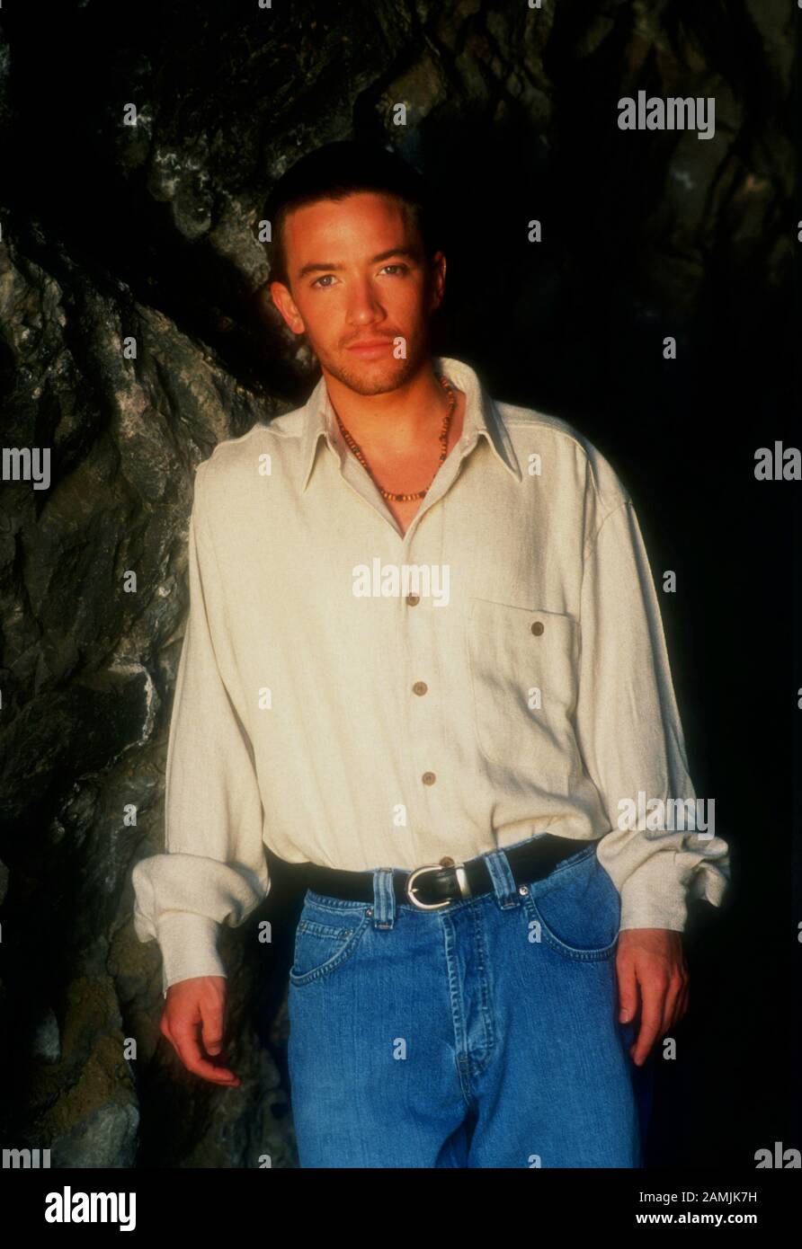 Los Angeles, California, USA 19th May 1995 (Exclusive) Actor David ...