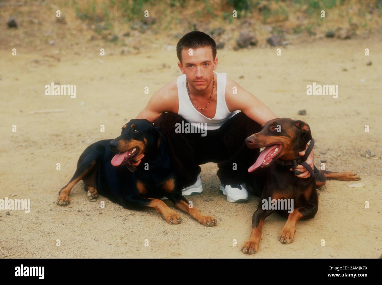 Bud bundy hi-res stock photography and images - Alamy