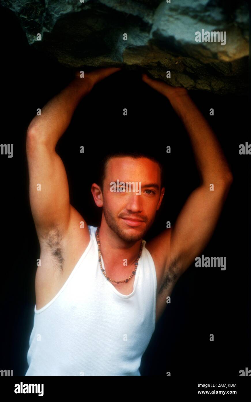 Los Angeles, California, USA 19th May 1995 (Exclusive) Actor David ...