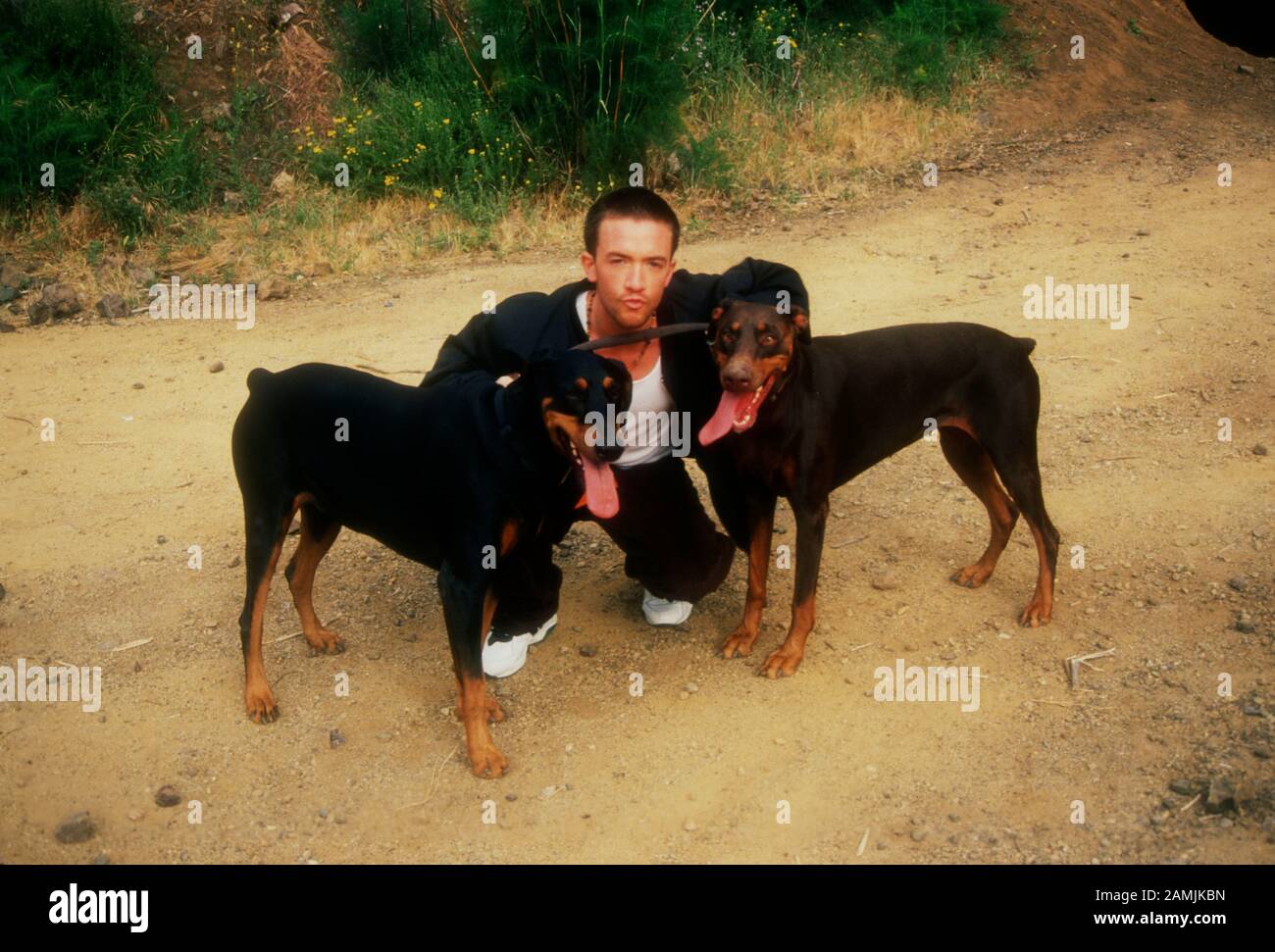 Los Angeles, California, USA 19th May 1995 (Exclusive) Actor David ...