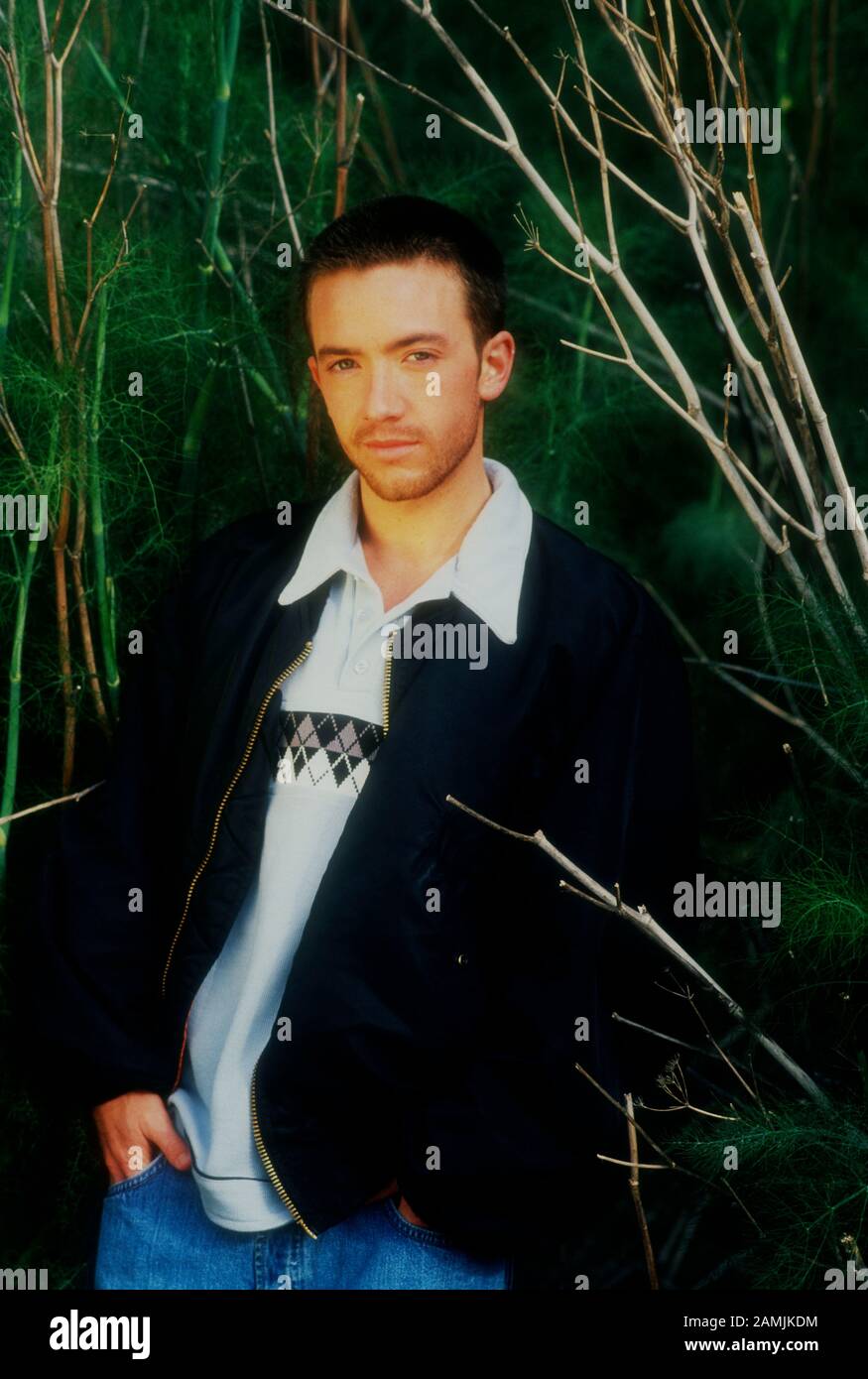 Los Angeles, California, USA 19th May 1995 (Exclusive) Actor David ...