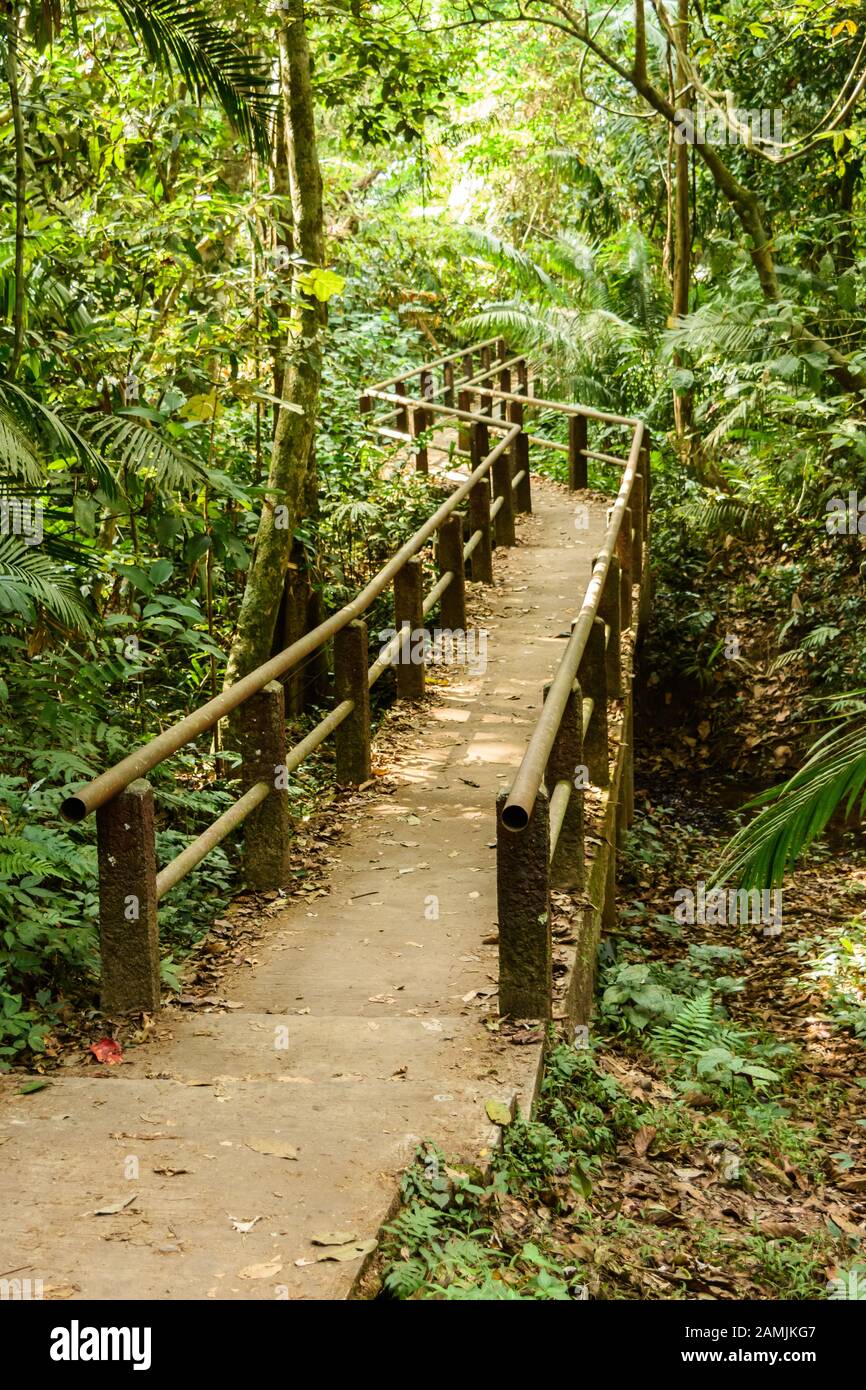 Tropical walkway hi-res stock photography and images - Alamy