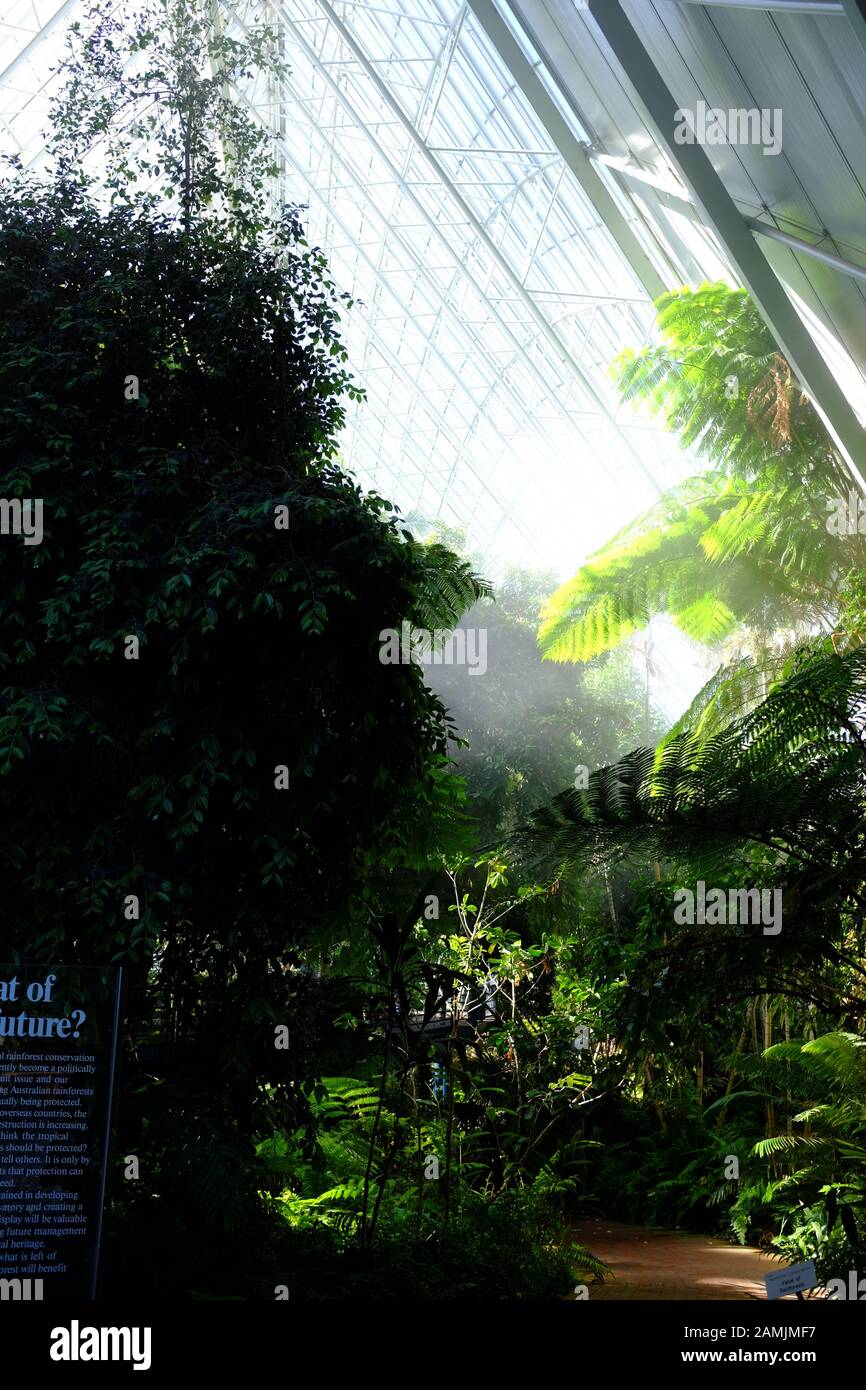 Adelaide botanic garden Stock Photo - Alamy