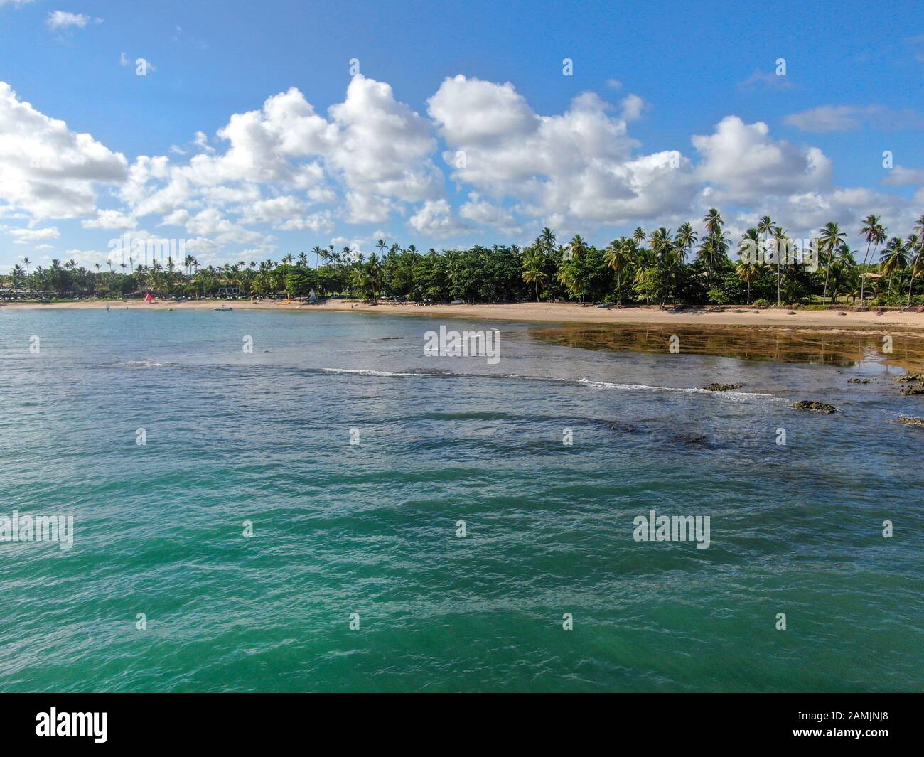 Aerial view of tropical white sand beach, palm trees and turquoise ...