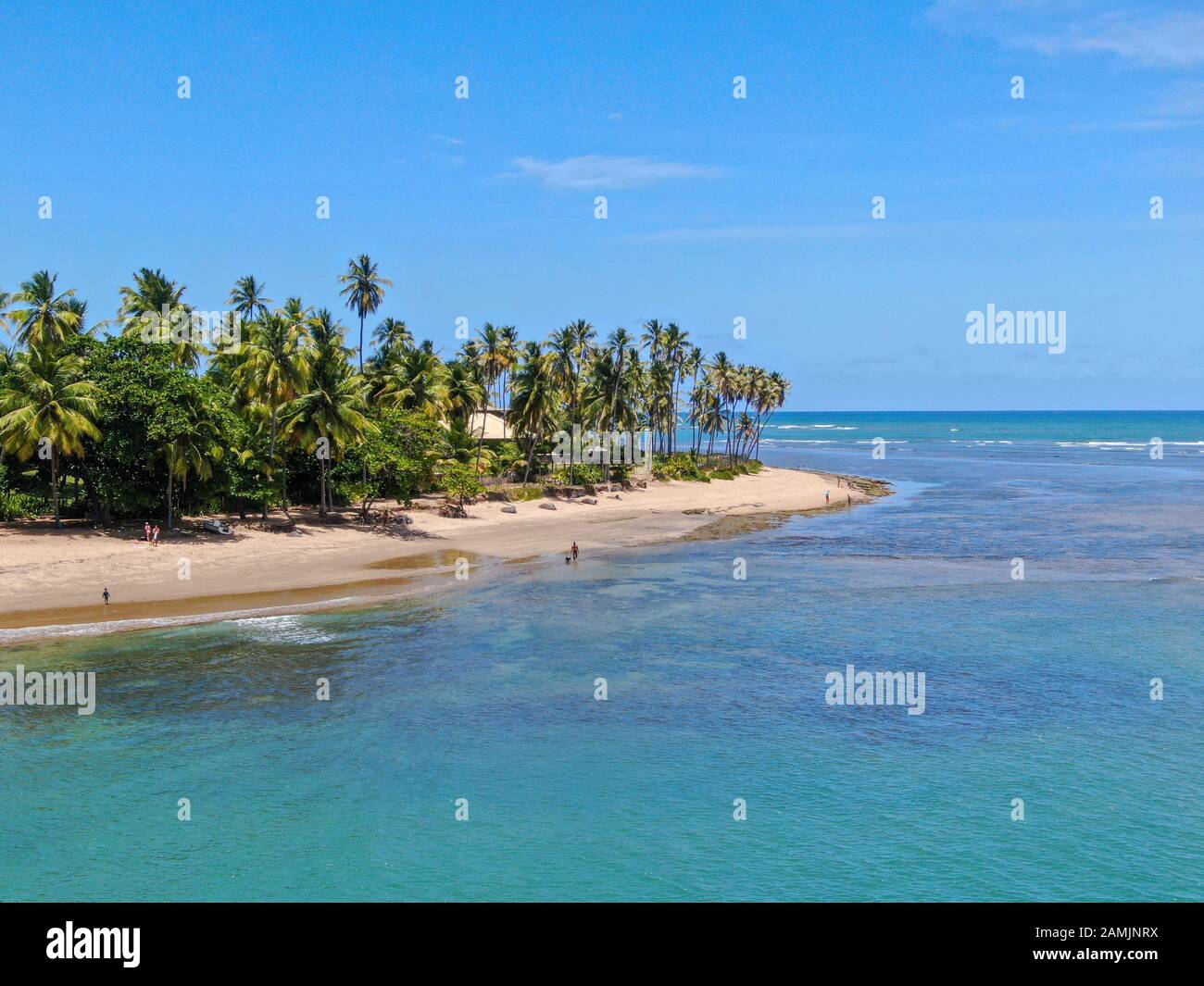 Aerial view of tropical white sand beach, palm trees and turquoise ...