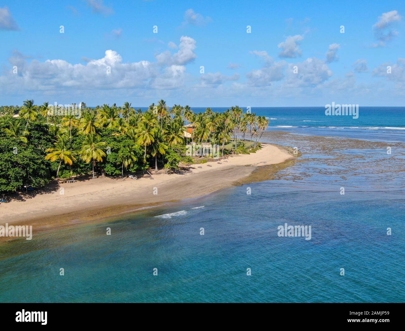 Aerial view of tropical white sand beach, palm trees and turquoise ...