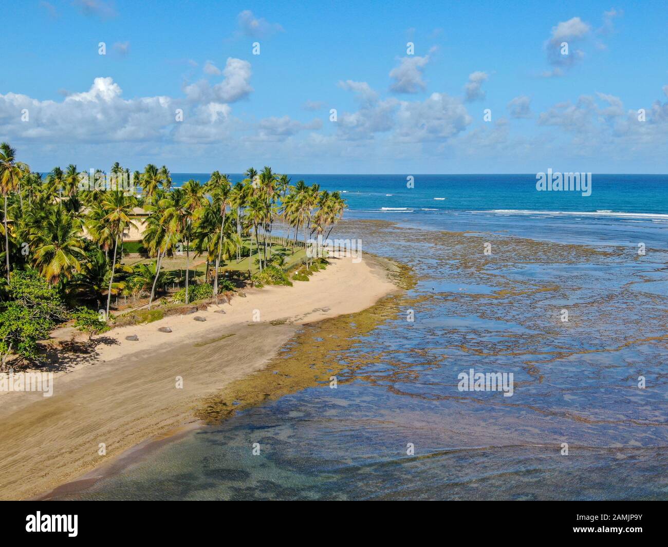 Aerial view of tropical white sand beach, palm trees and turquoise ...