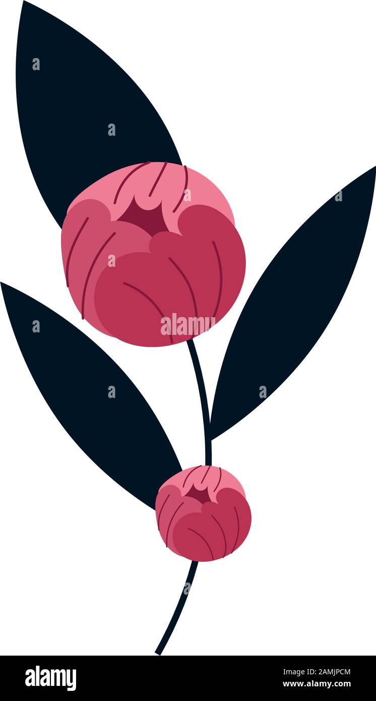 Rosal flower Stock Vector Images - Alamy