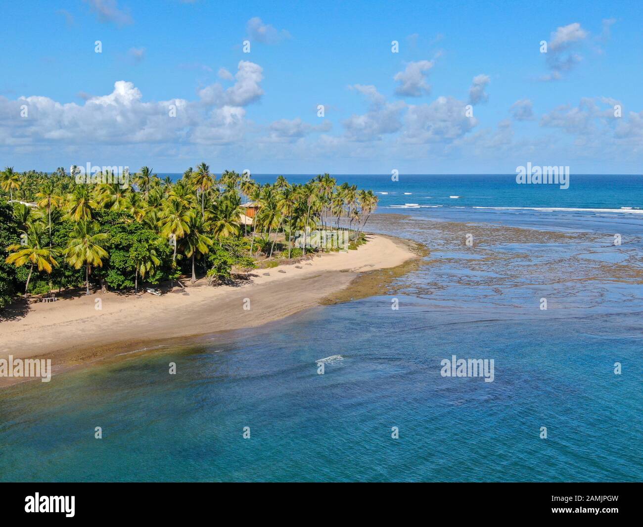 Aerial view of tropical white sand beach, palm trees and turquoise ...
