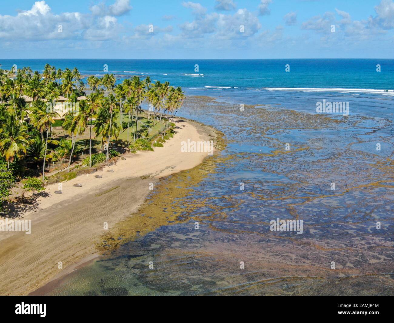 Aerial view of tropical white sand beach, palm trees and turquoise ...
