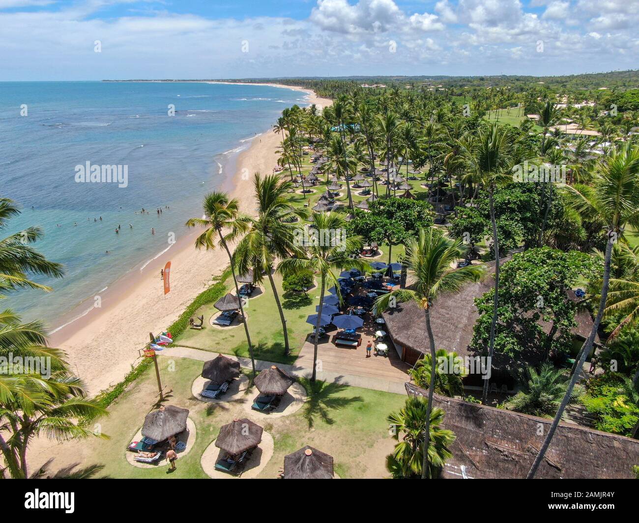 Aerial view of tropical white sand beach, with palm trees and sun ...
