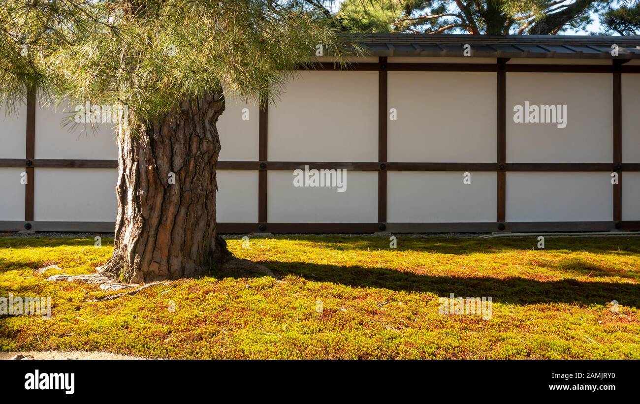 Natural green trees in a Japanese garden Stock Photo - Alamy