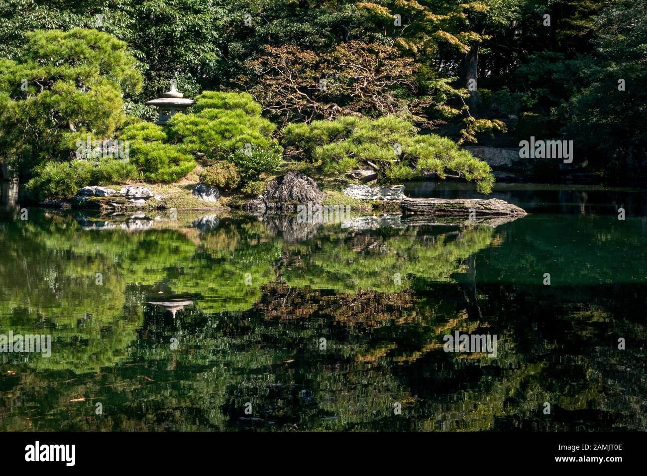 Natural green trees in a Japanese garden Stock Photo - Alamy