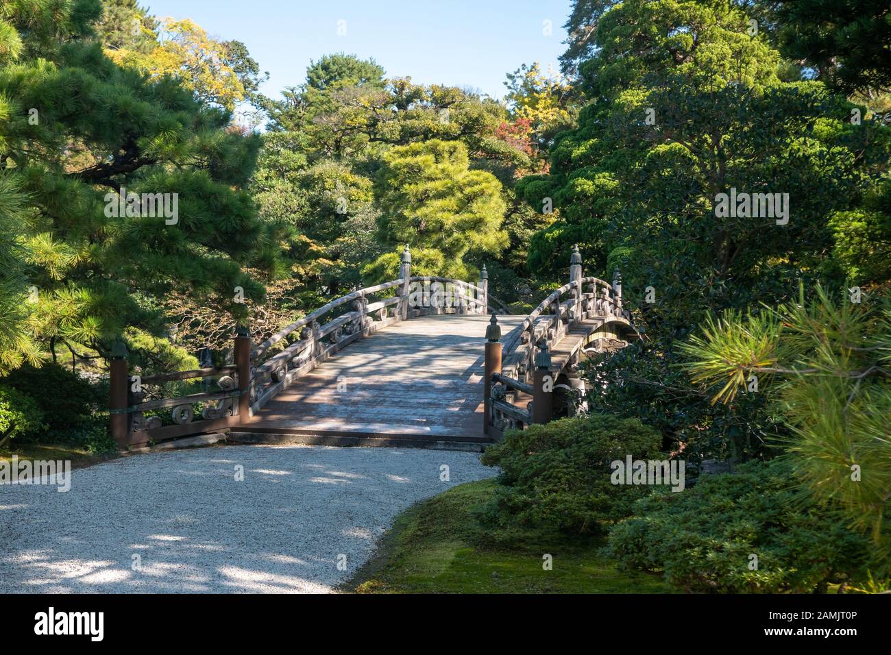 Natural green trees in a Japanese garden Stock Photo - Alamy