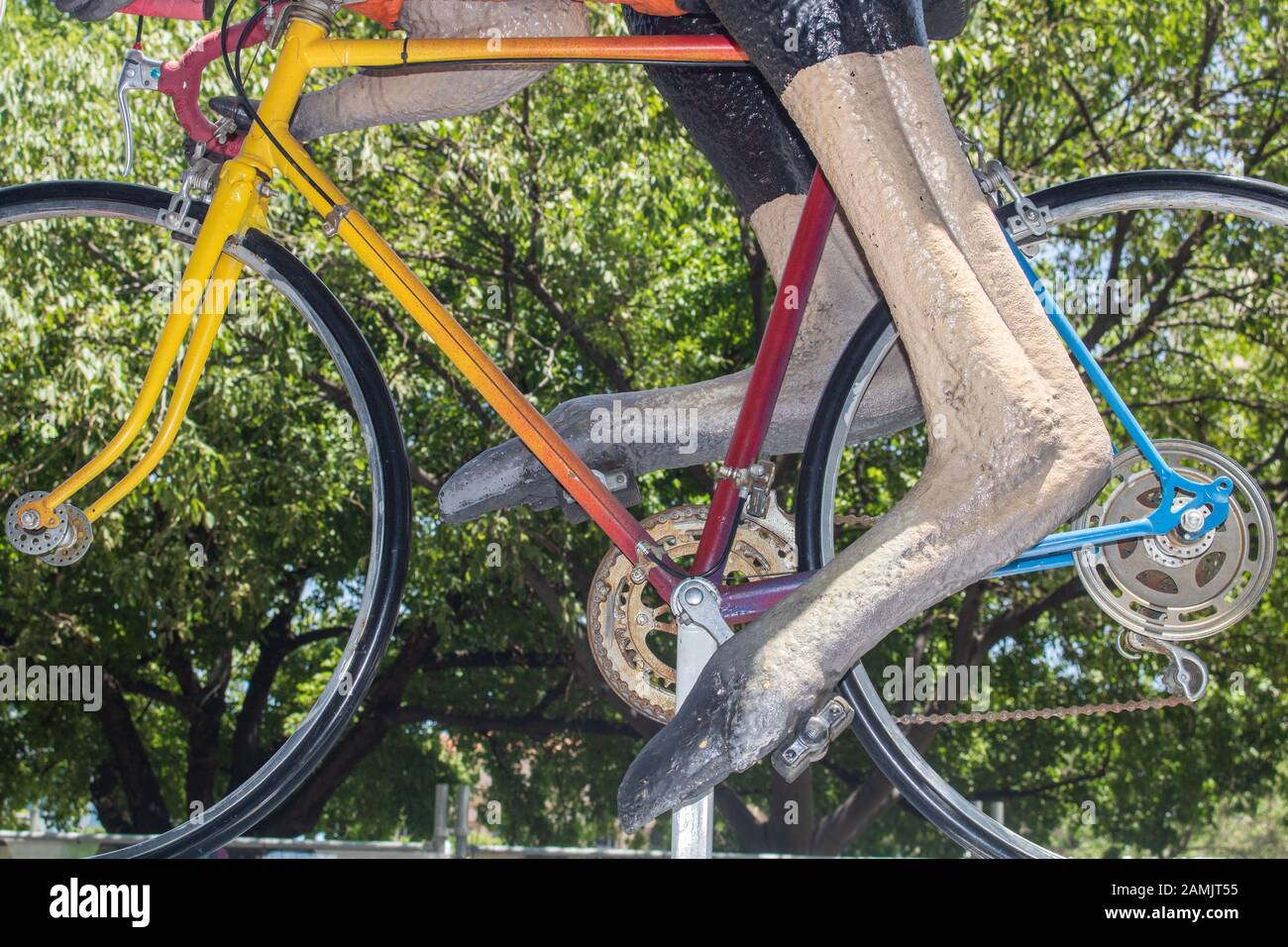 Kangaroo bicycle hi-res stock photography and images - Alamy