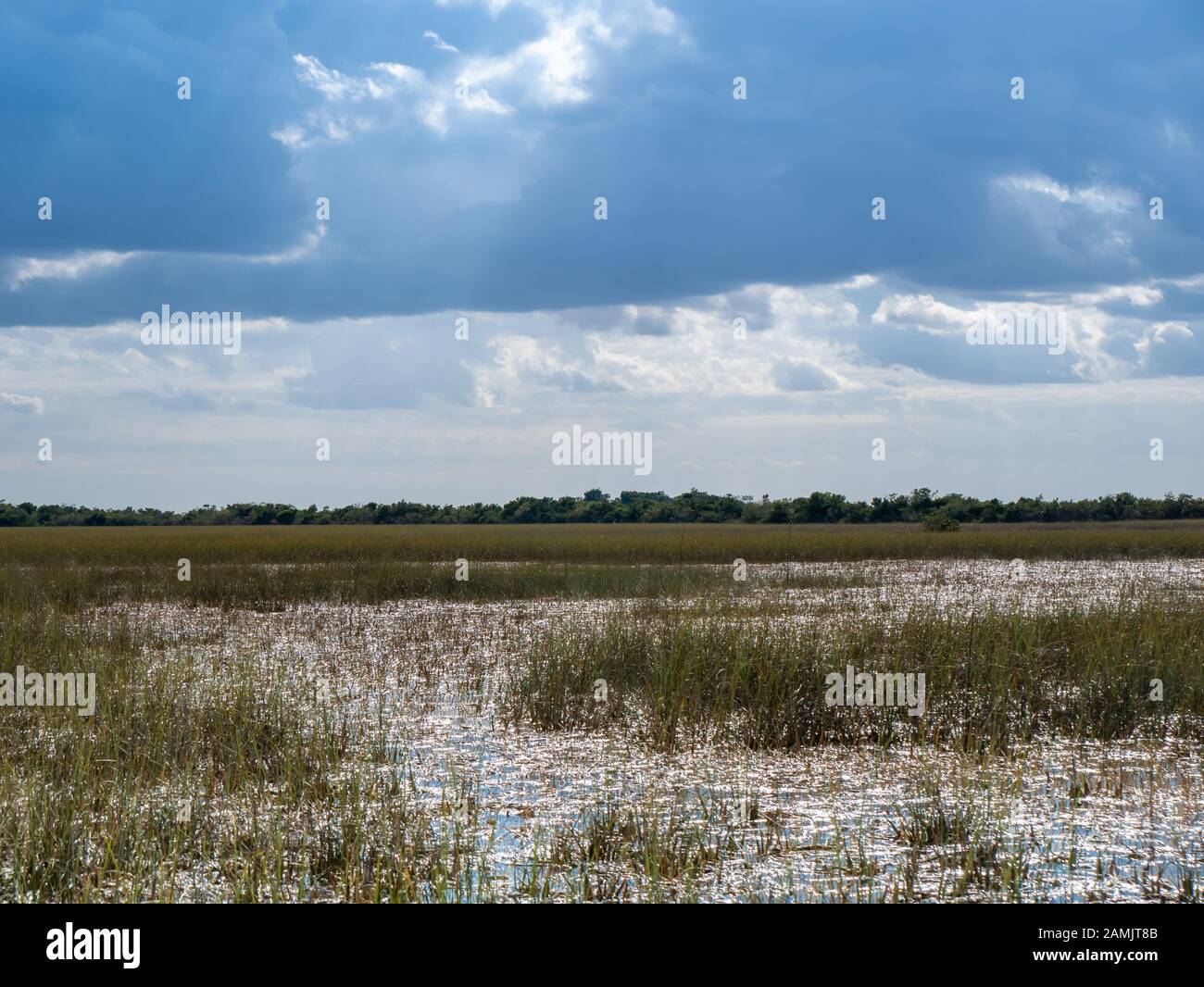 Landscape of Everglades saw grass, water, and stormy clouds in ...