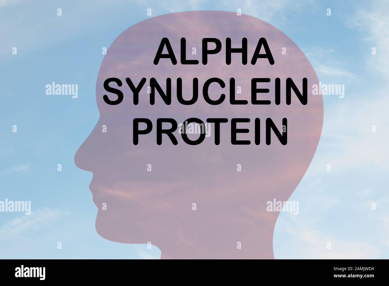 Render illustration of ALPHA-SYNUCLEIN PROTEIN title on head silhouette ...
