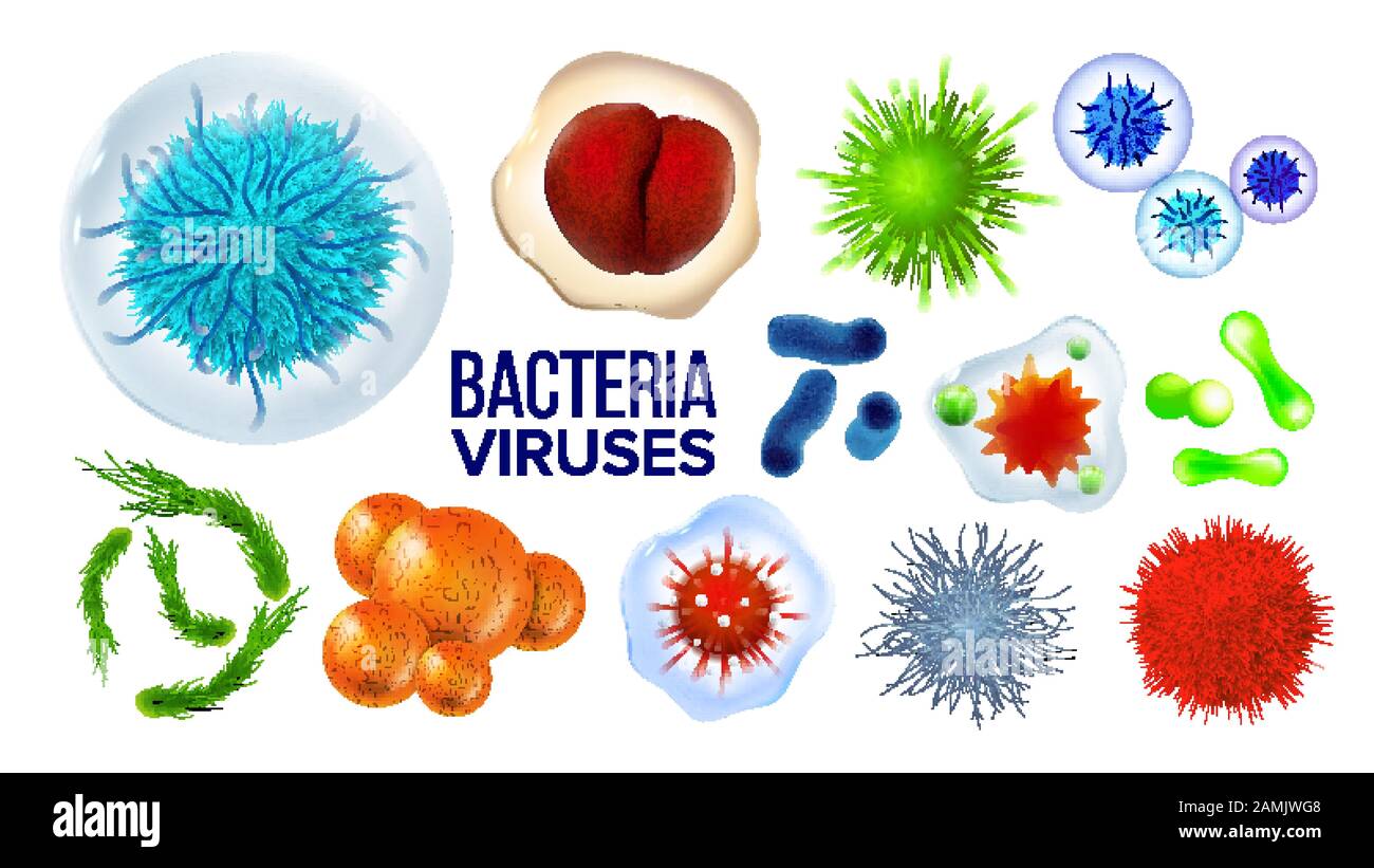 Microscopic Viruses Bacteria Collection Set Vector Stock Vector Image ...