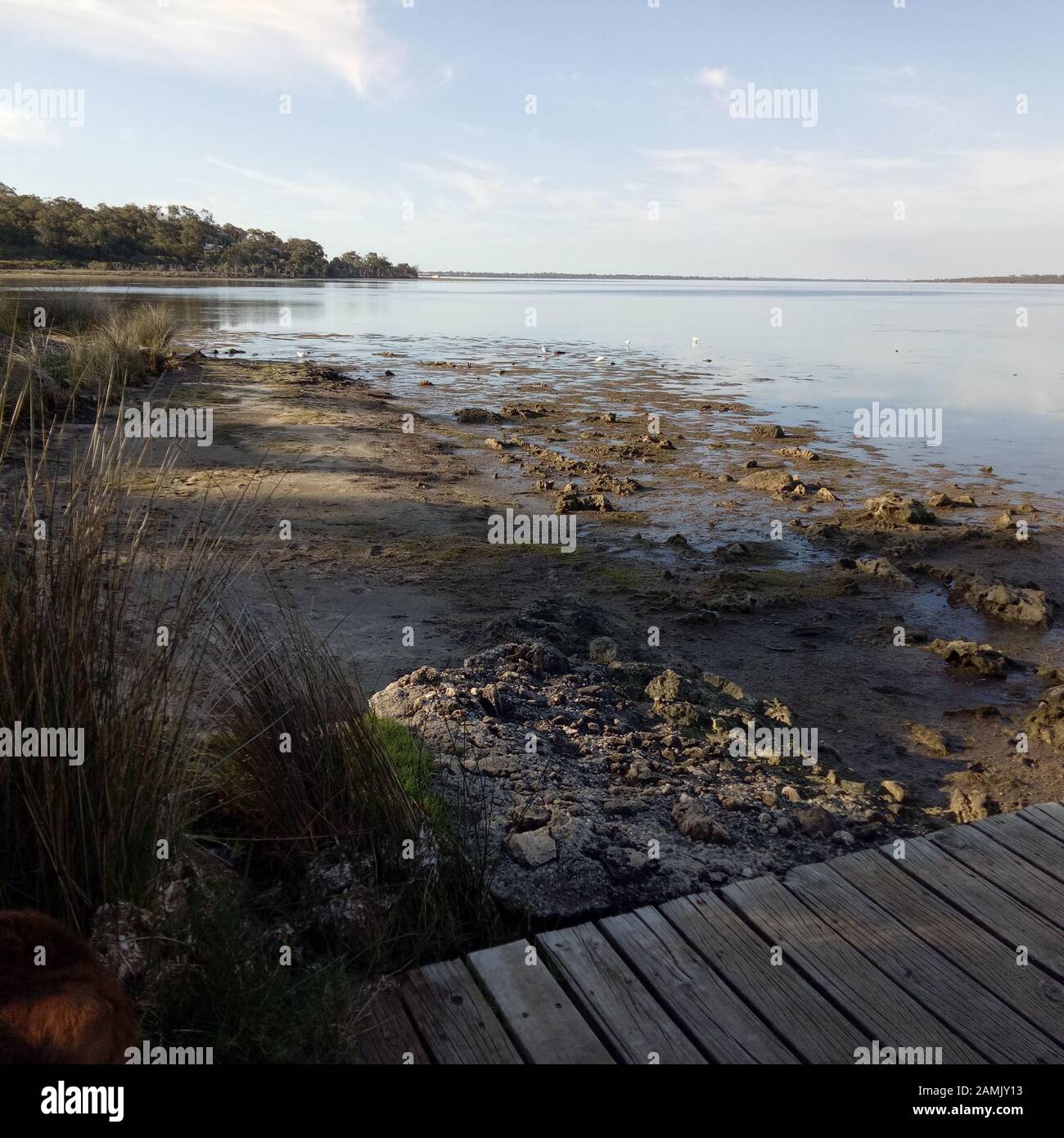 estuary beach jetty Stock Photo - Alamy
