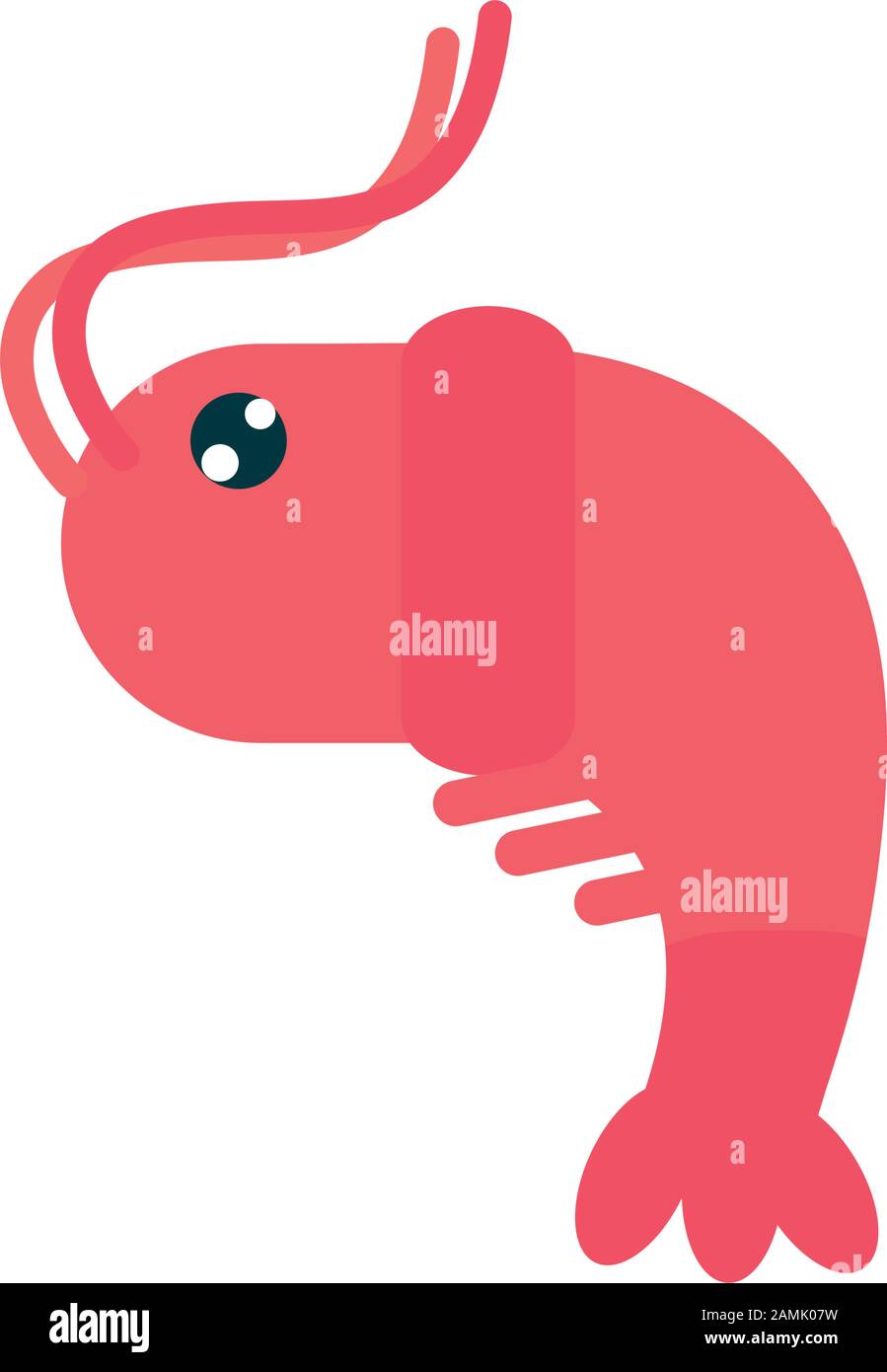 marine life, shrimp crustacean cartoon sea fauna animal on white ...