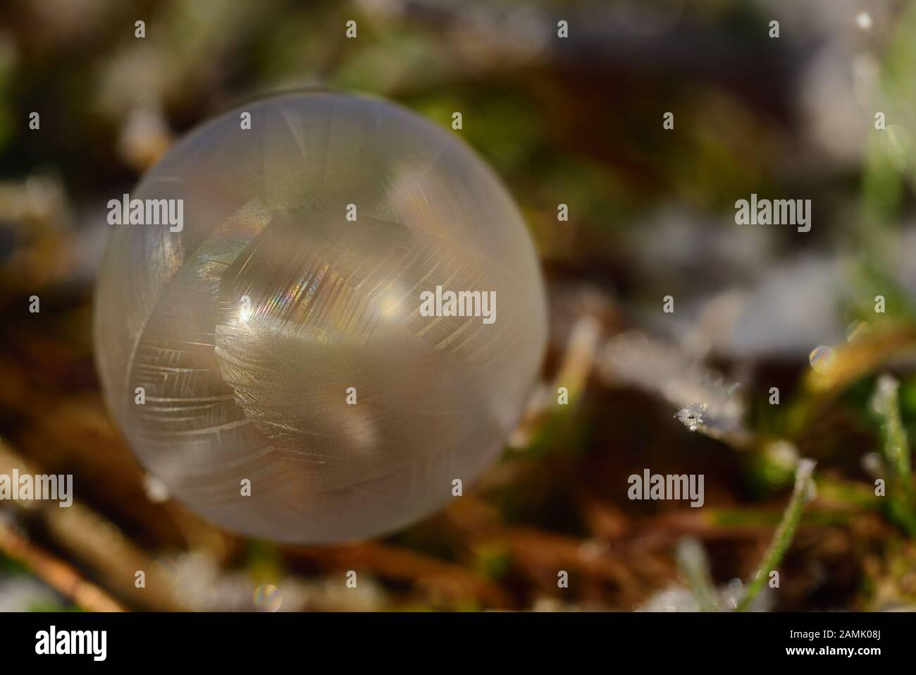Bubble form structure hi-res stock photography and images - Alamy