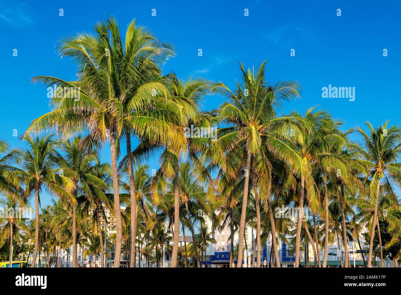 Dusk time in beautiful miami hi-res stock photography and images - Alamy