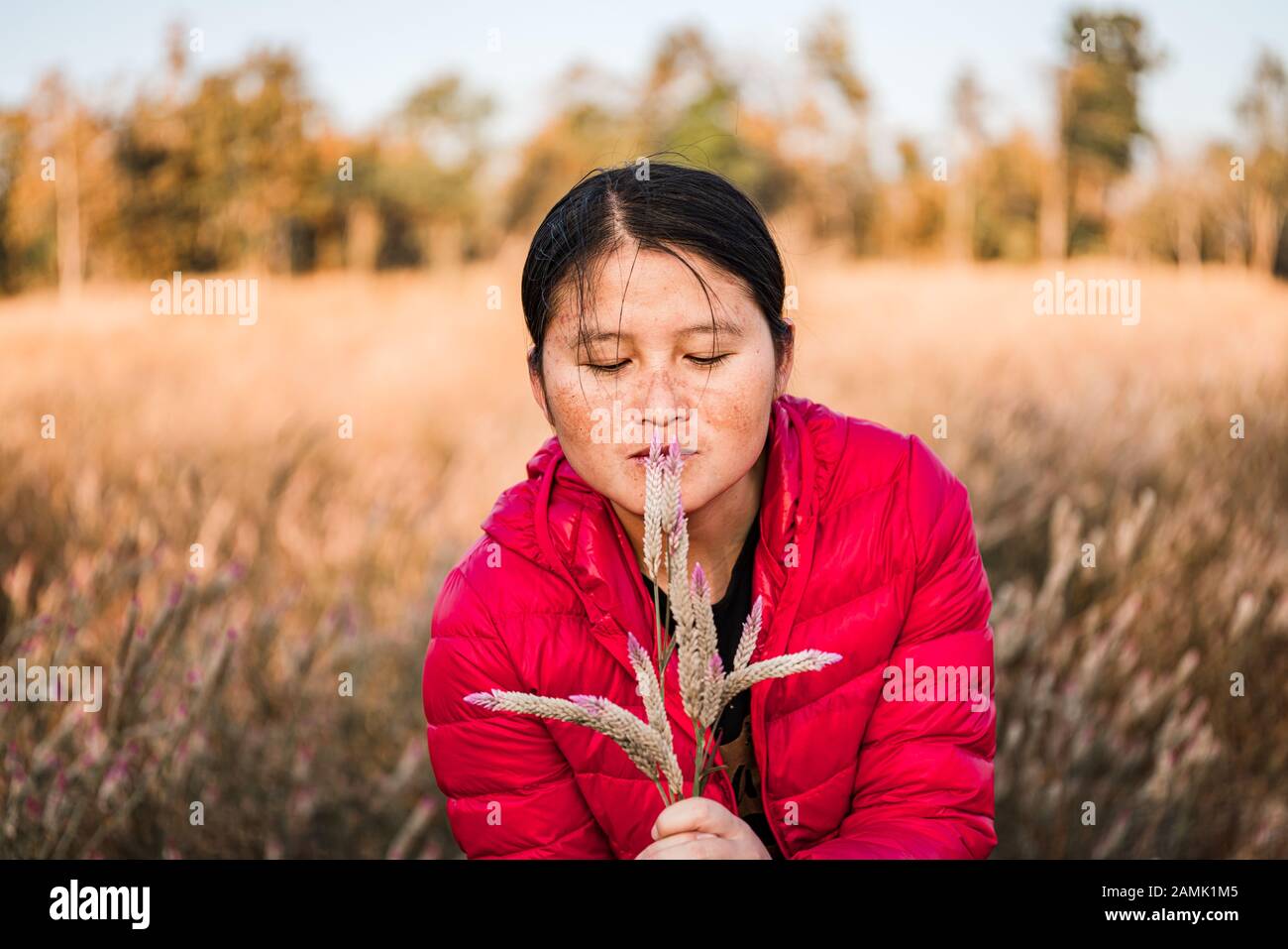 The girl is traveling in the grass field cockscomb grass Stock Photo ...