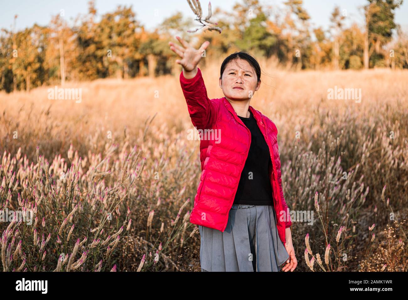 The girl is traveling in the grass field cockscomb grass Stock Photo ...