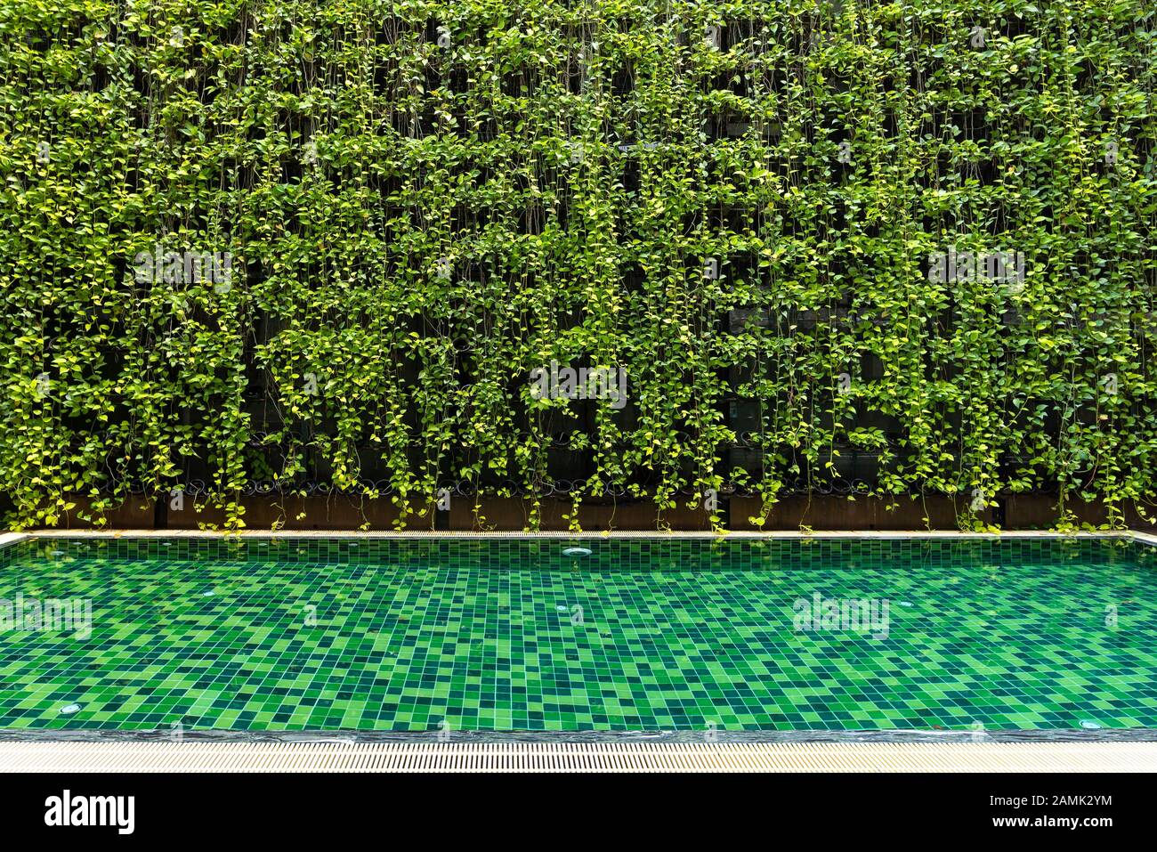 Swimming pool with little garden.Swimming is very popular sport in ...