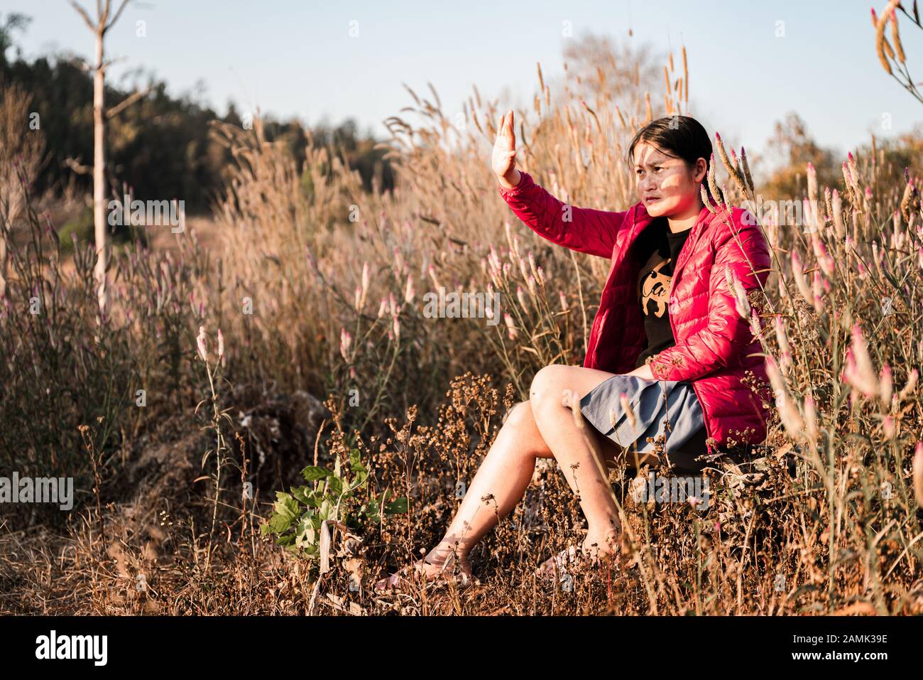 The girl is traveling in the grass field cockscomb grass Stock Photo ...