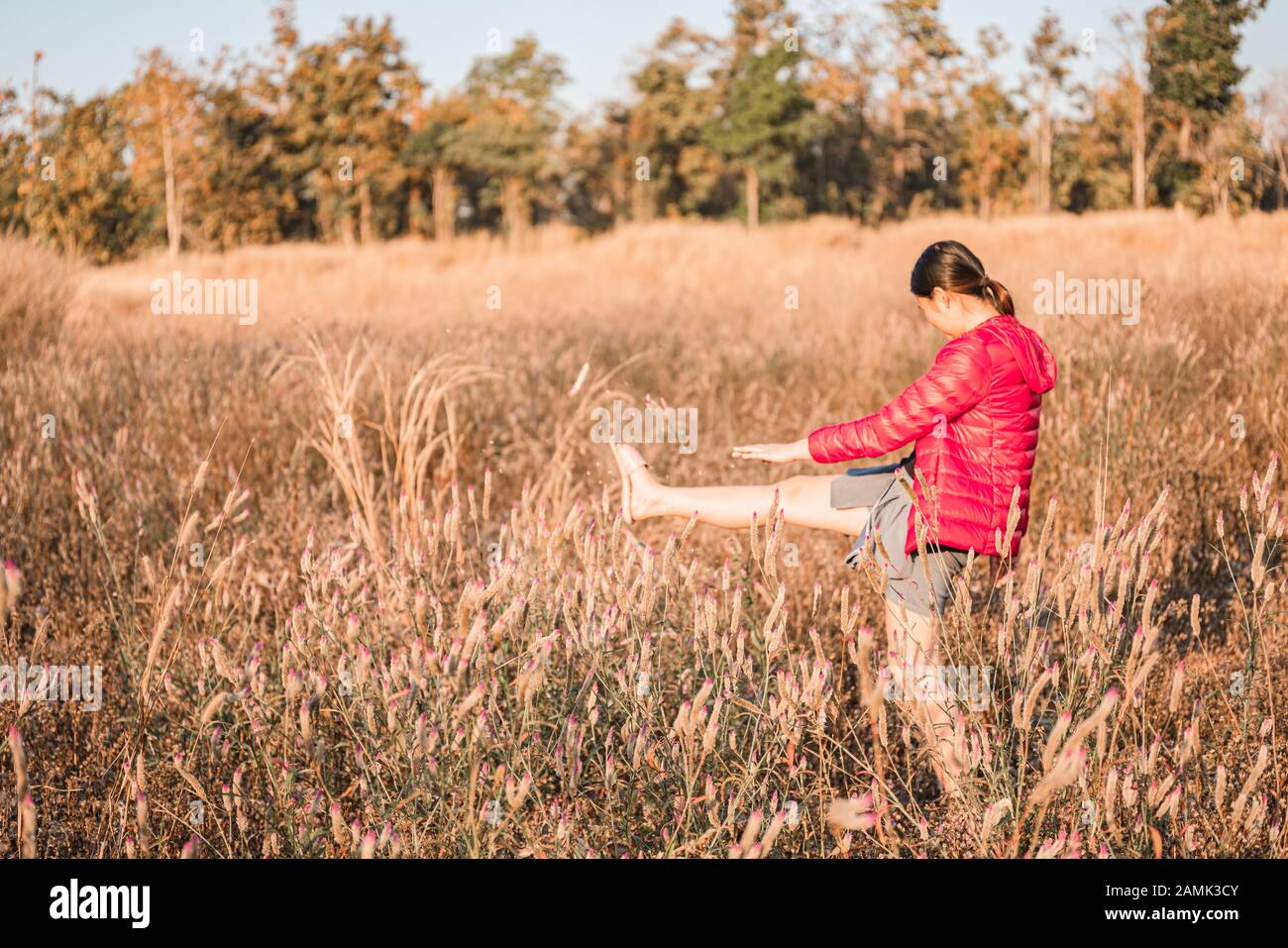 The girl is traveling in the grass field cockscomb grass Stock Photo ...