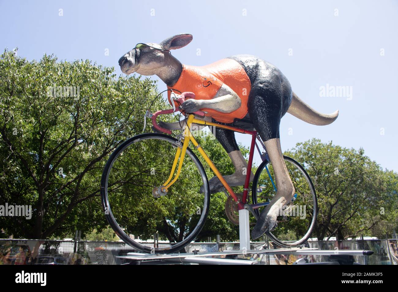 Adelaide, Australia. 14 January 2020. A giant kangaroo riding a bicycle ...