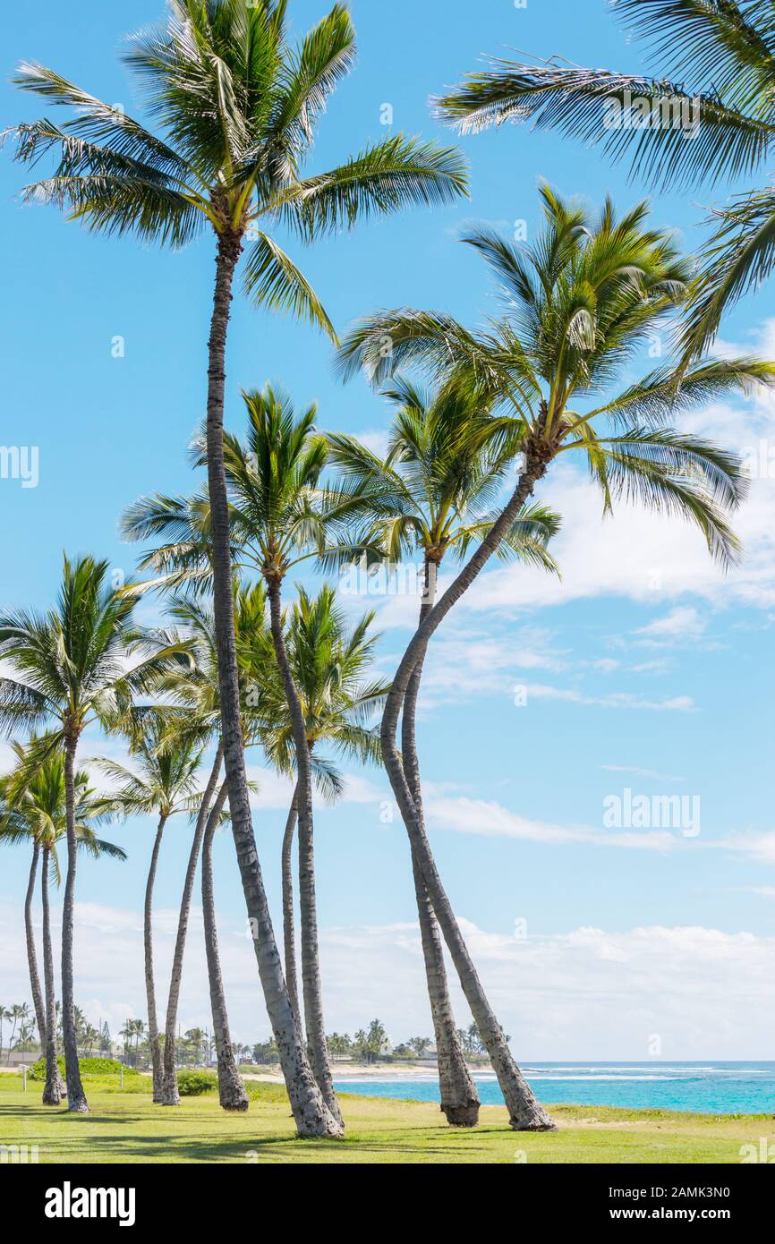 Beautiful landscapes in Oahu island, Hawaii Stock Photo - Alamy