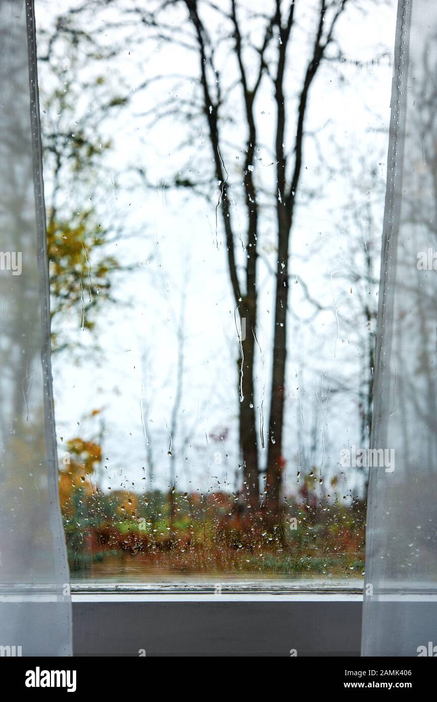 View through wet window to rainy autumn Stock Photo - Alamy