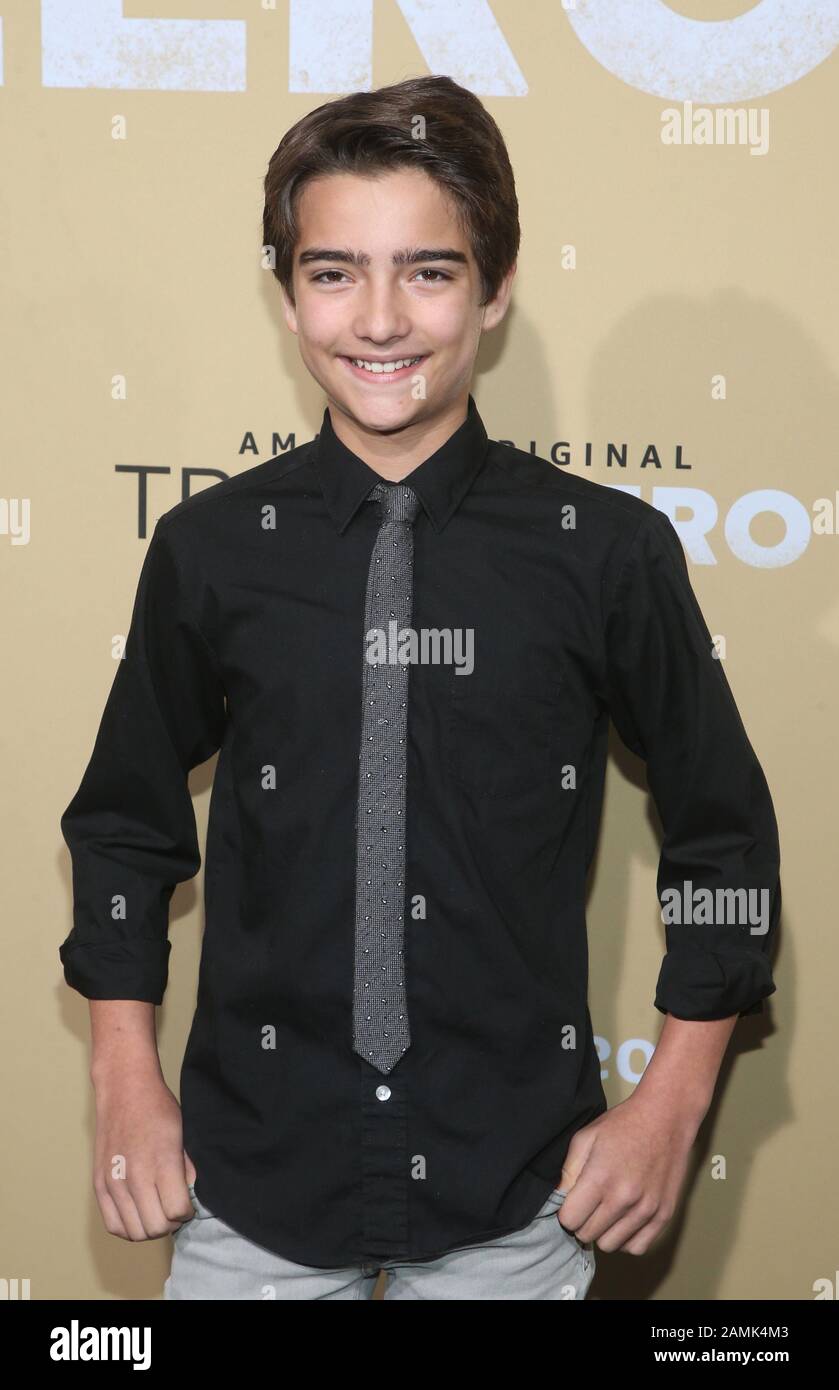 Los Angeles, Ca. 13th Jan, 2020. Elias Harger, at the Premiere Of ...