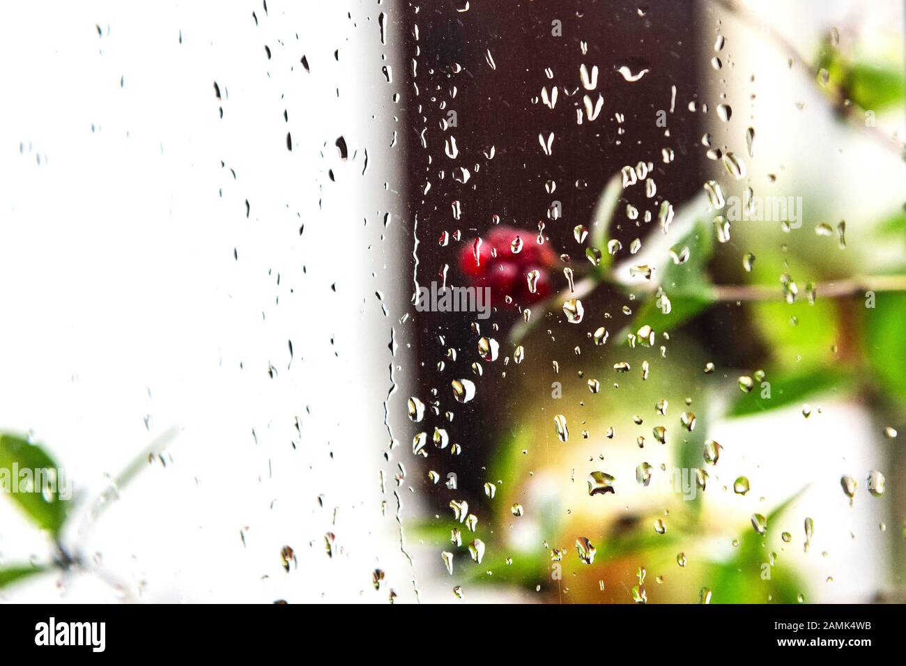 View through wet window to outside Stock Photo - Alamy