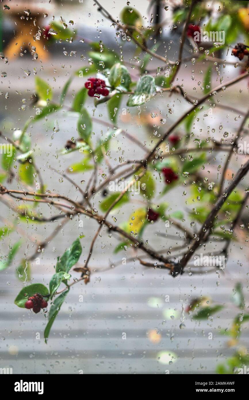 View through wet window to outside Stock Photo - Alamy