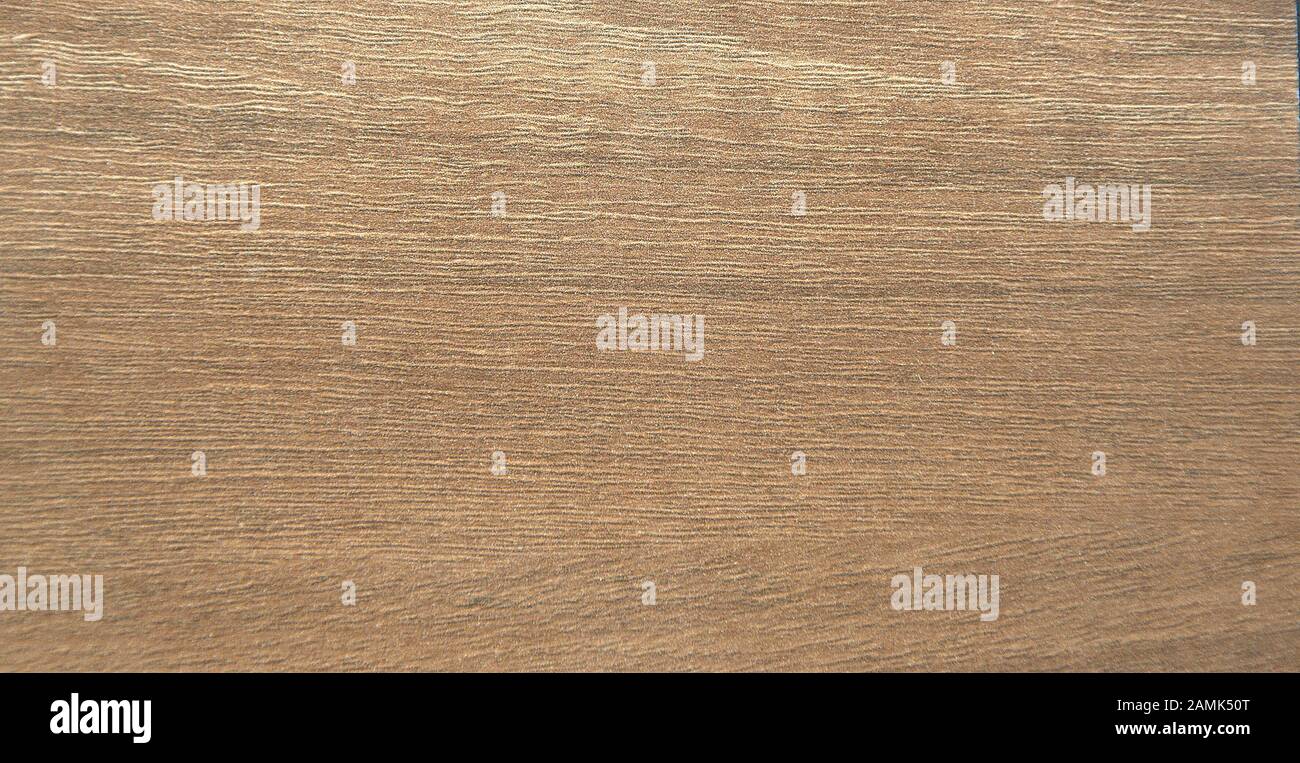 Natural dark oak wood texture on a cut closeup. Background Stock Photo ...