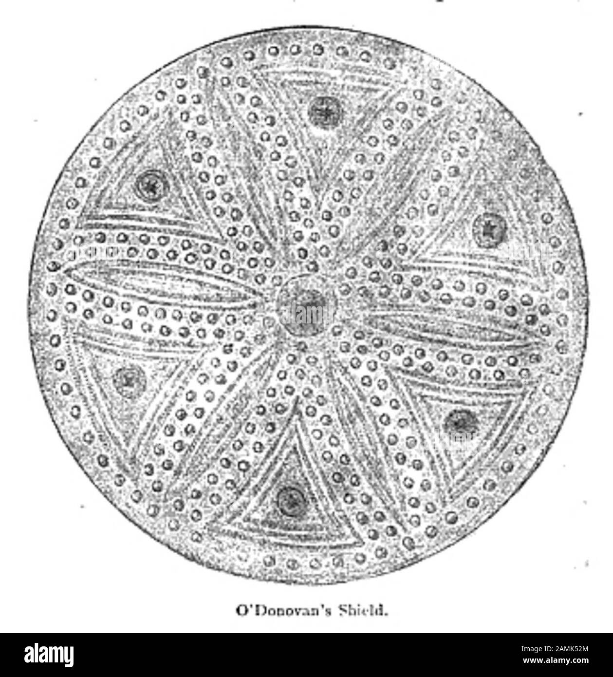 Round shield hi-res stock photography and images - Alamy