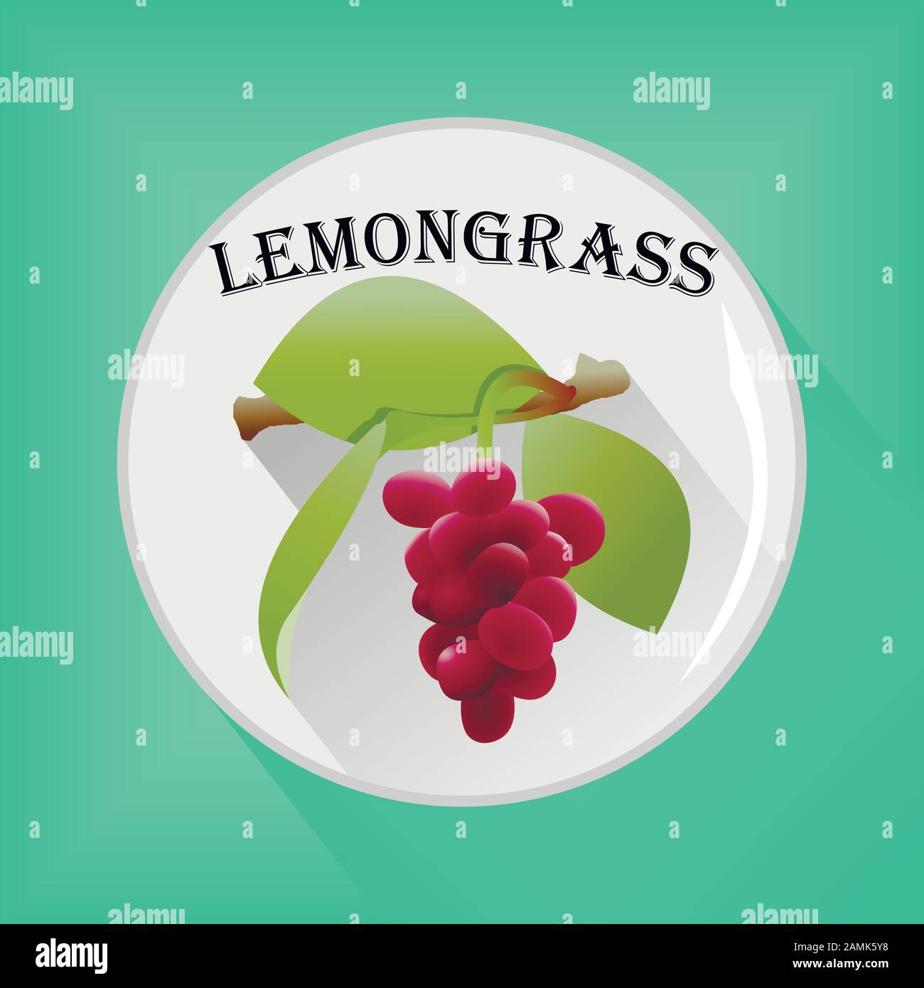 Spice spices lemongrass herbs Stock Vector Images - Alamy