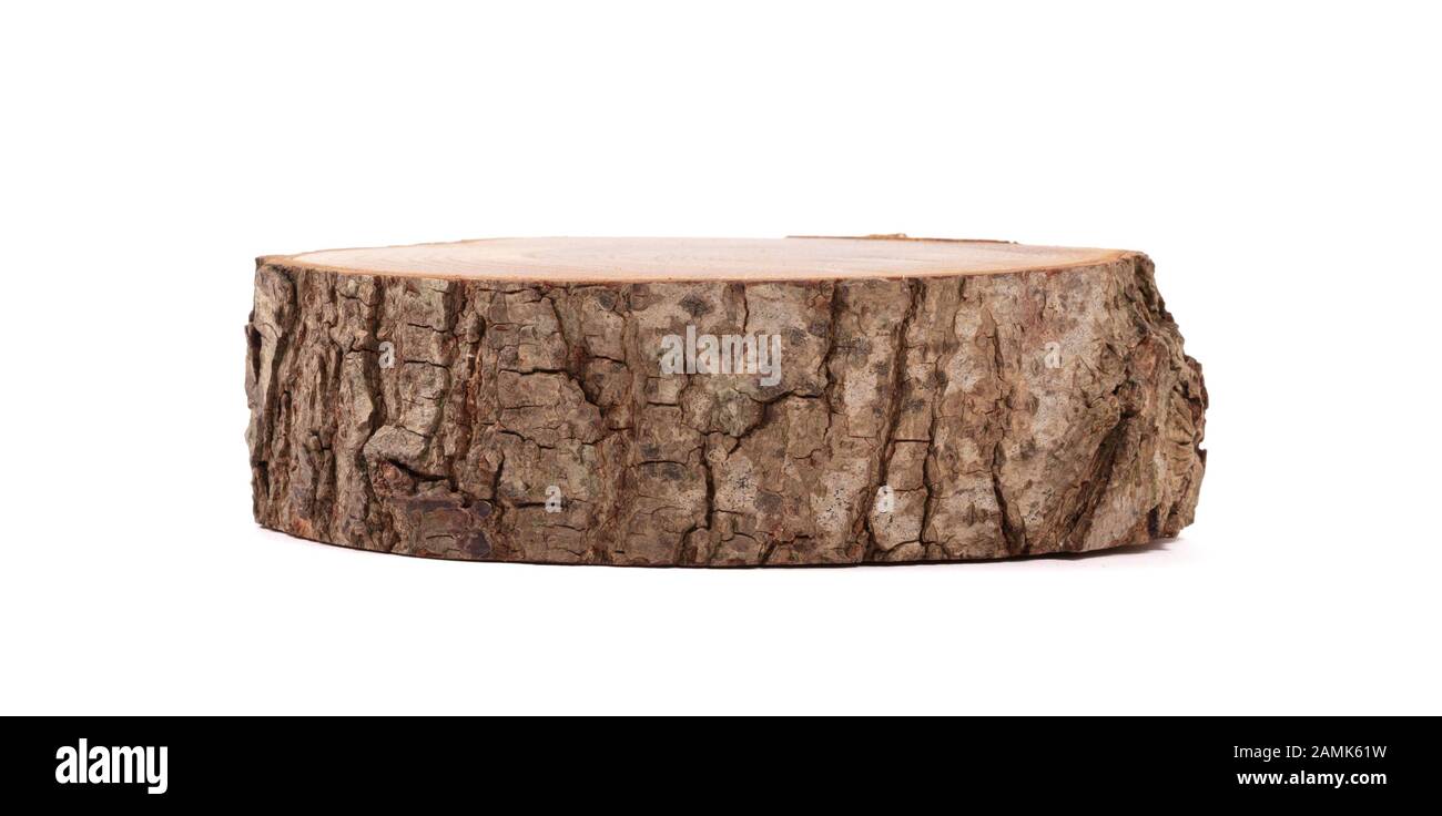 Irregular shape wood slab with bark and tree growth rings, isolated ...