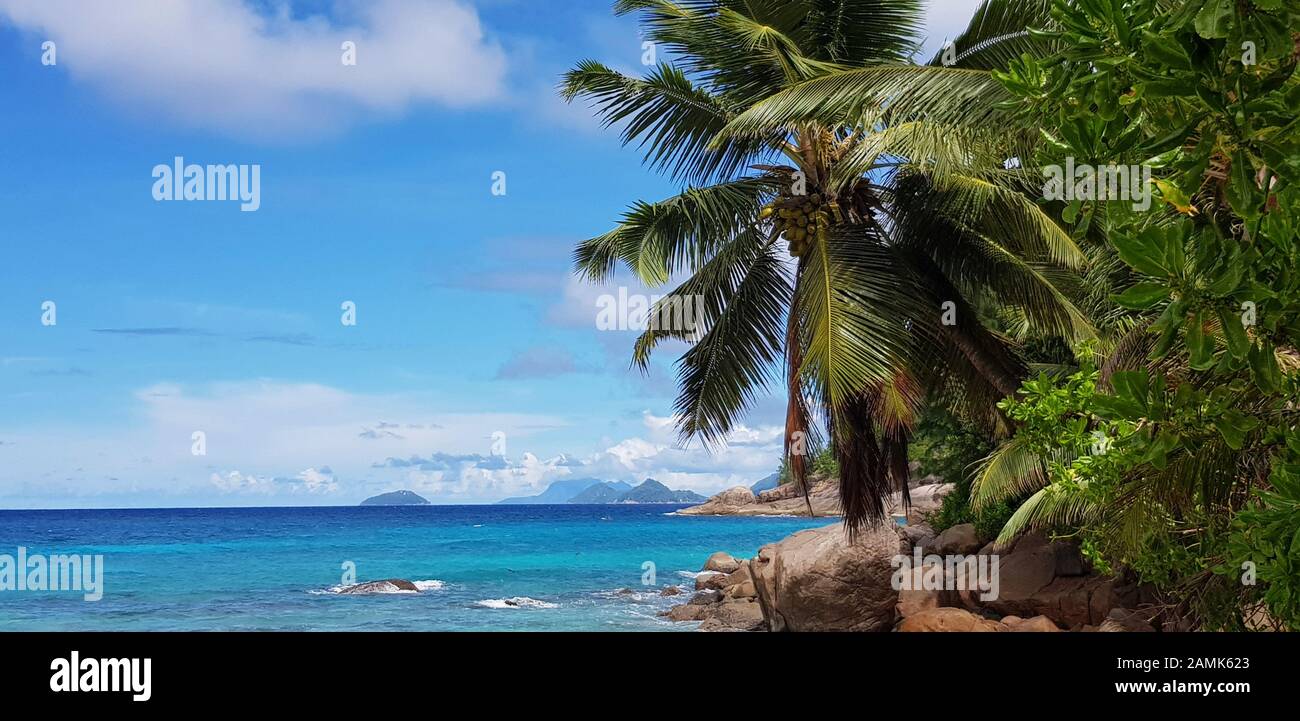 Tropical island palm trees hi-res stock photography and images - Alamy