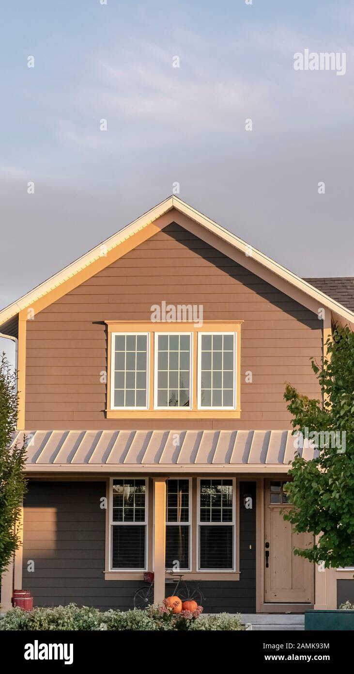 Vertical frame Facade of a brown timber clad urban house Stock Photo ...