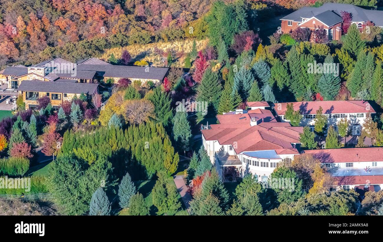 Panorama Large luxury building amongst woodland trees day light Stock ...