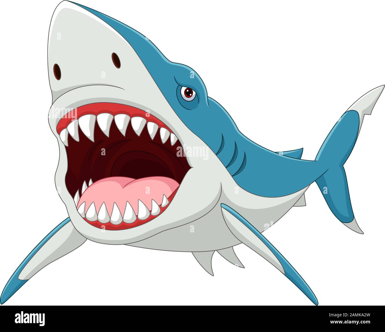 Shark Mouth Vector