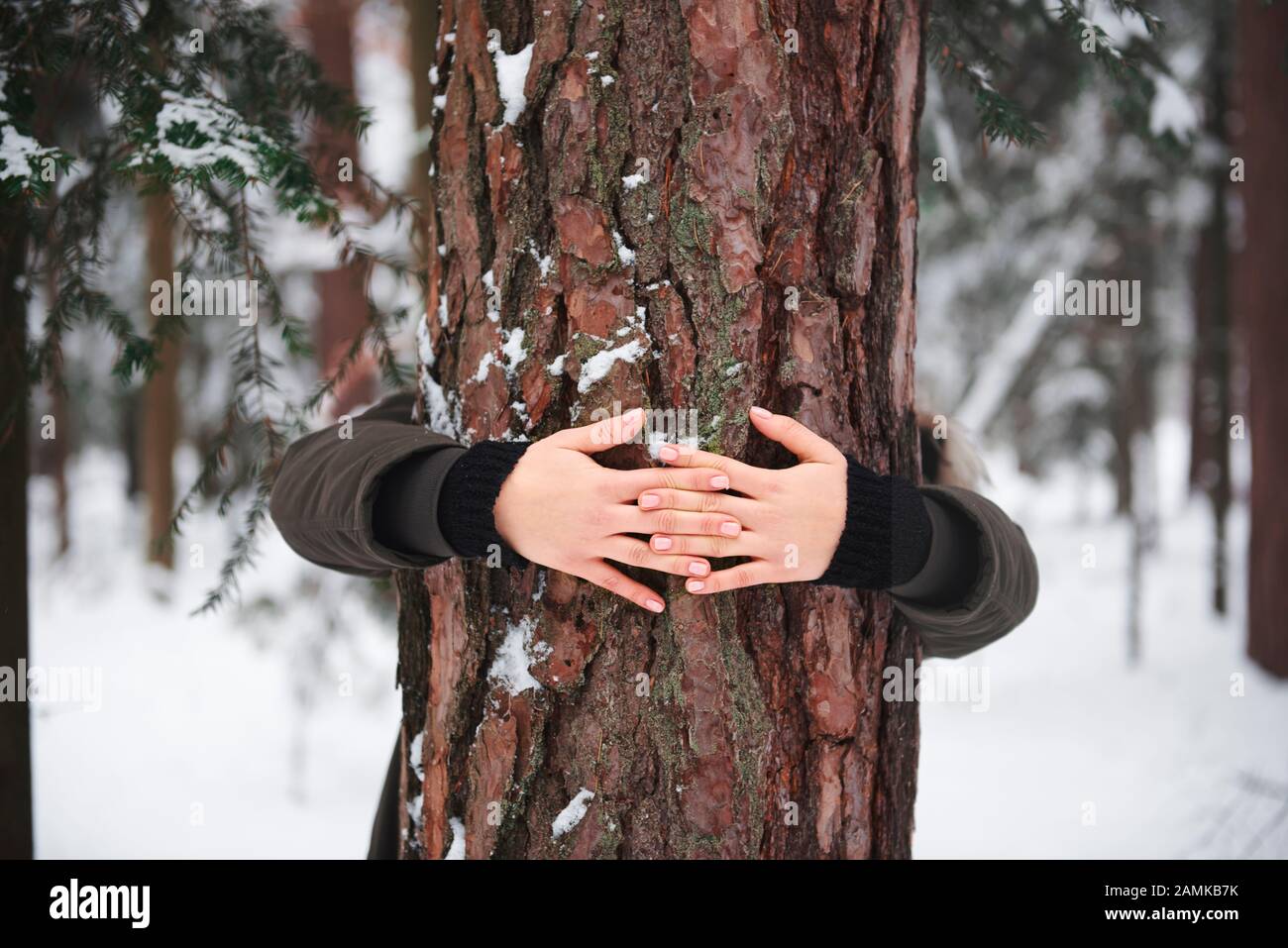 Embracing tree hi-res stock photography and images - Alamy